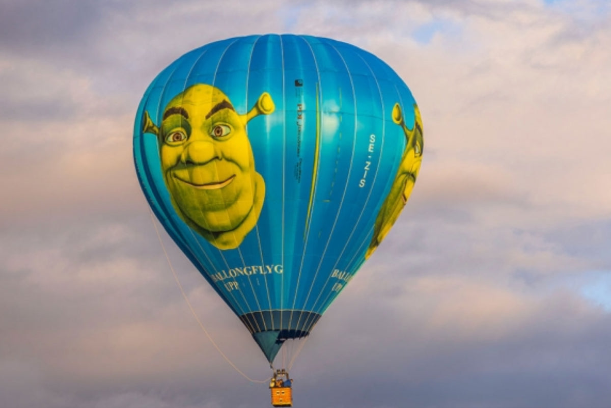 The return of Shrek: an intern's blunder at NBCUniversal - Net Worth Space
